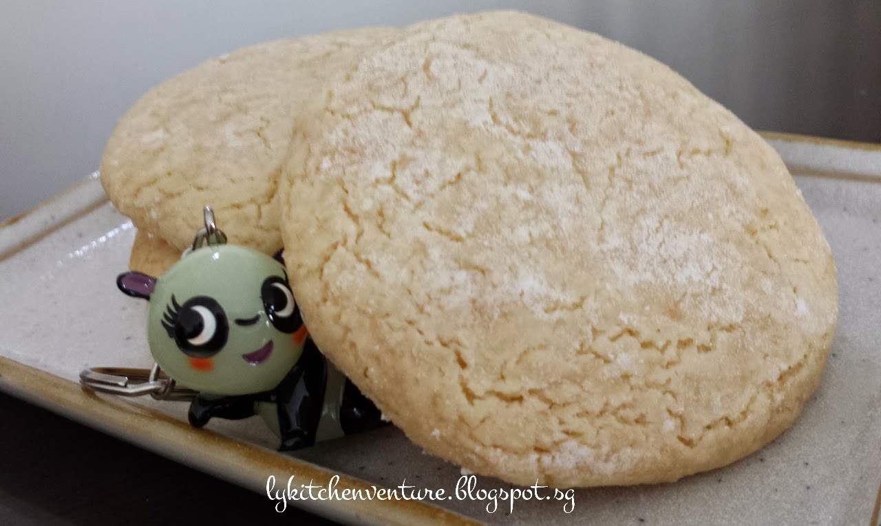 LY's Kitchen Ventures: Guang Su Bing or Kong Soh Peng （光酥饼）